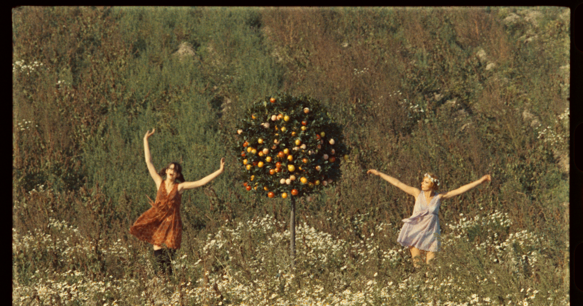 Sedmikrásky - Národní filmový archiv