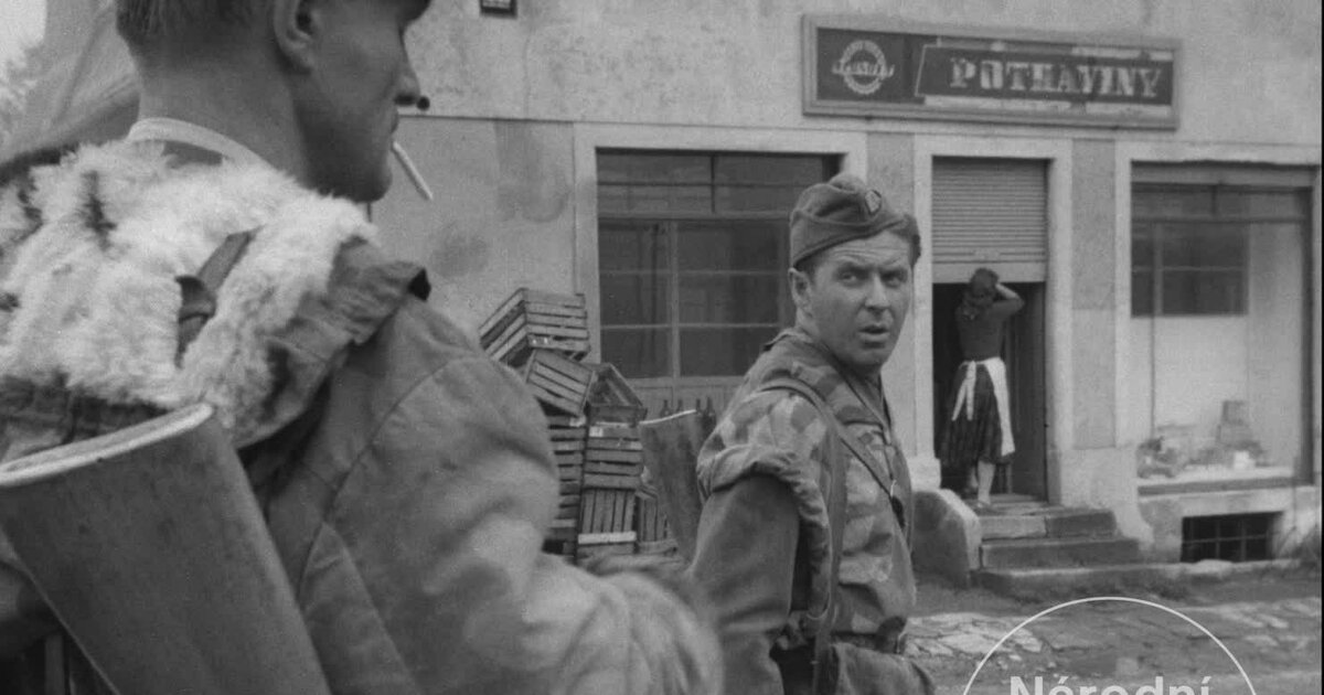 Král Šumavy - Národní filmový archiv