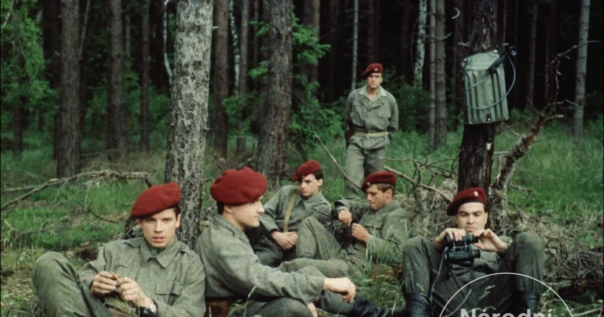 Copak je to za vojáka... - Národní filmový archiv